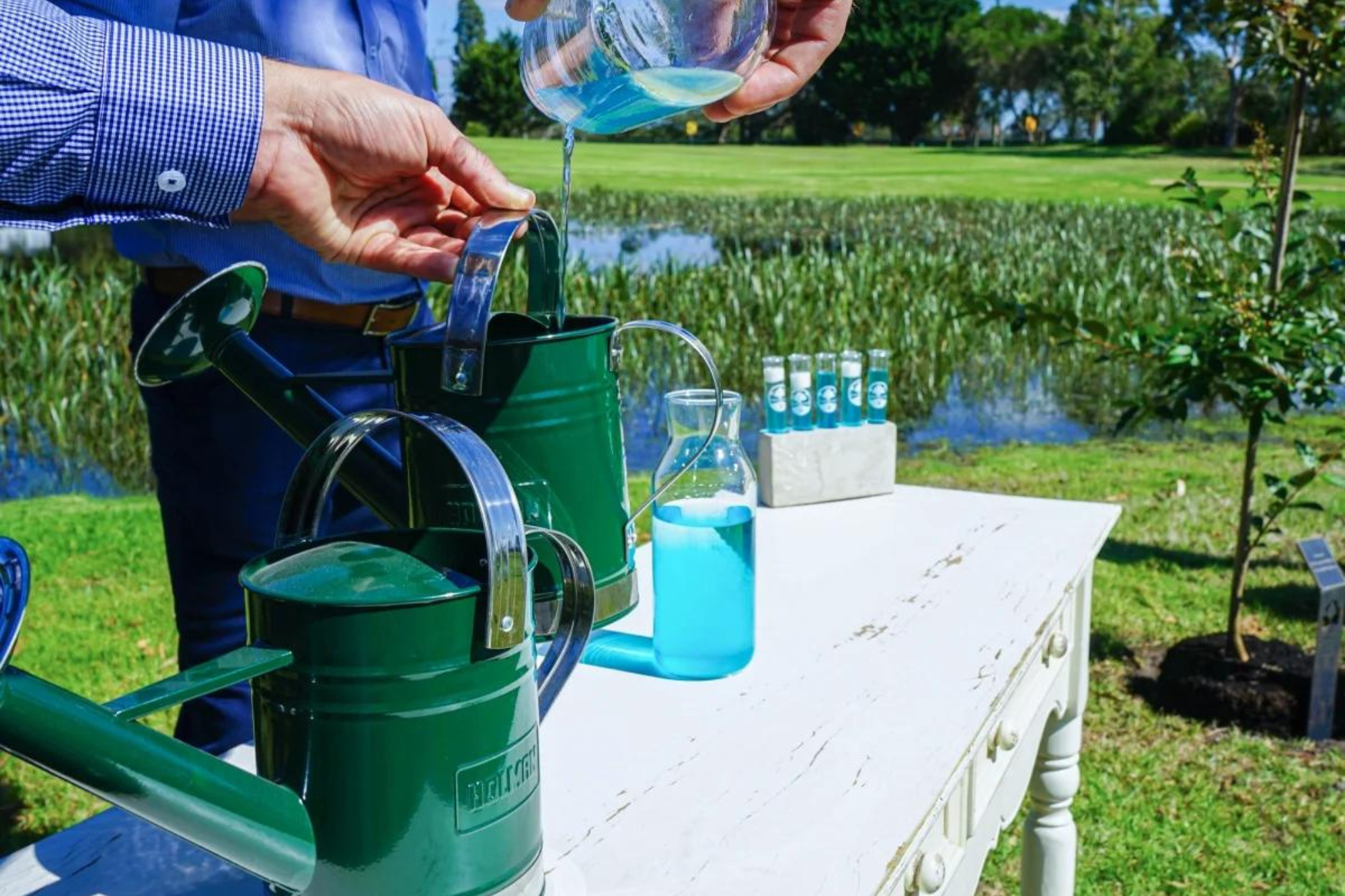 A Guide to Cremated Ashes: From Process to Memorial Options ...
