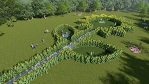 World's Largest Sunflower - Mornington Green Legacy Gardens