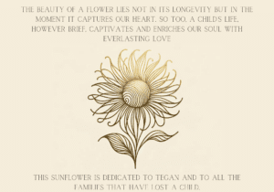 World's Largest Sunflower - Mornington Green Legacy Gardens