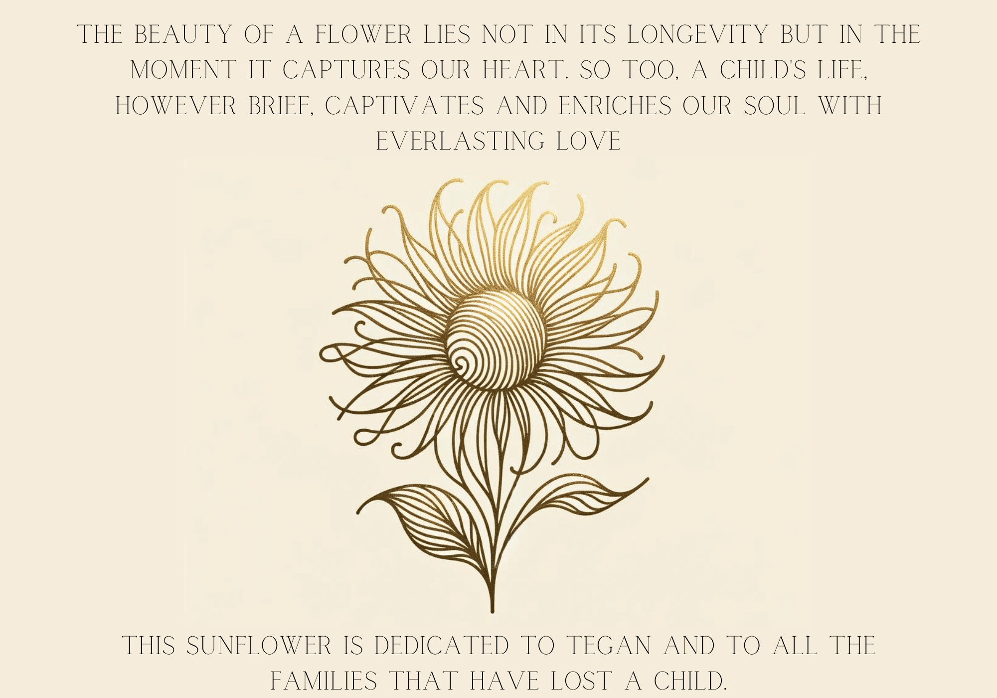 World's Largest Sunflower - Mornington Green Legacy Gardens