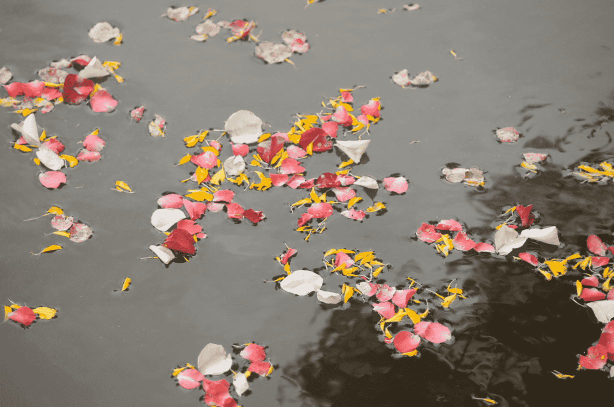 What Are Ashes From a Body? - Mornington Green Legacy Gardens