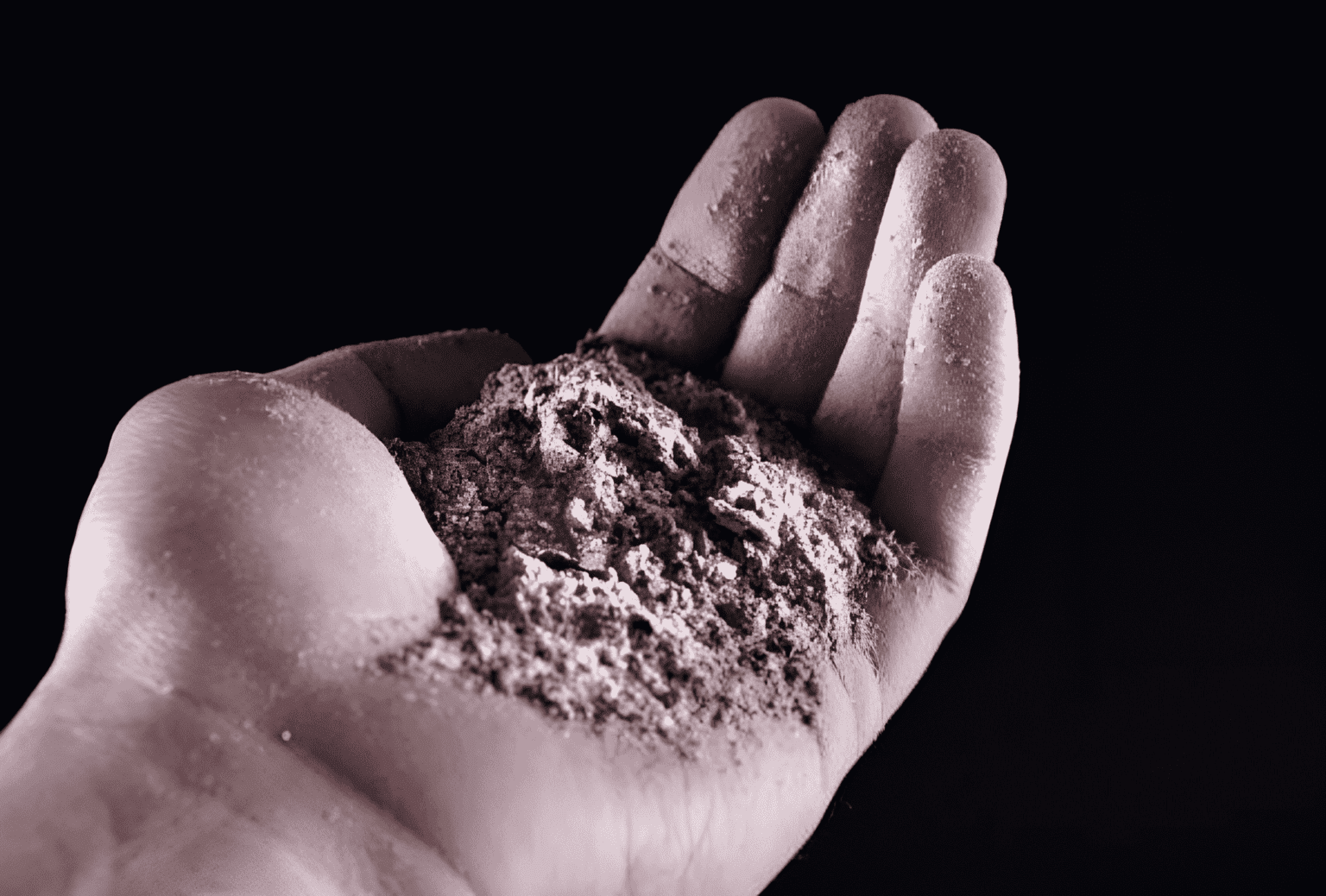 A Guide to Cremated Ashes: From Process to Memorial Options ...