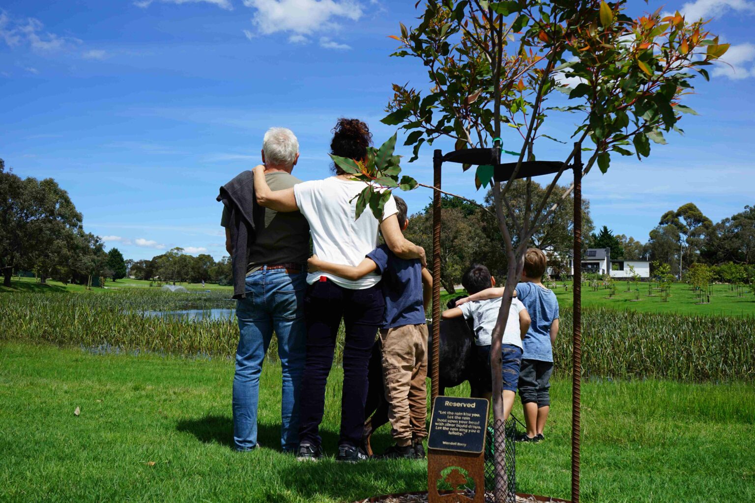Memorial Tree Ideas: Honoring Loved Ones with Nature - Mornington Green ...