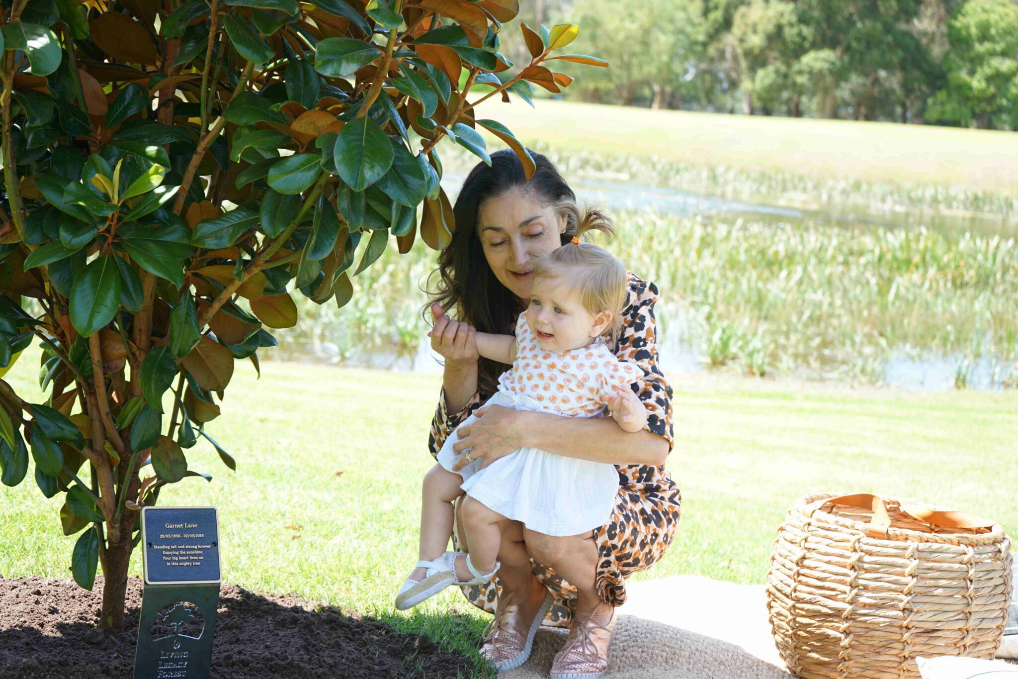 What Are Ashes From a Body? - Mornington Green Legacy Gardens
