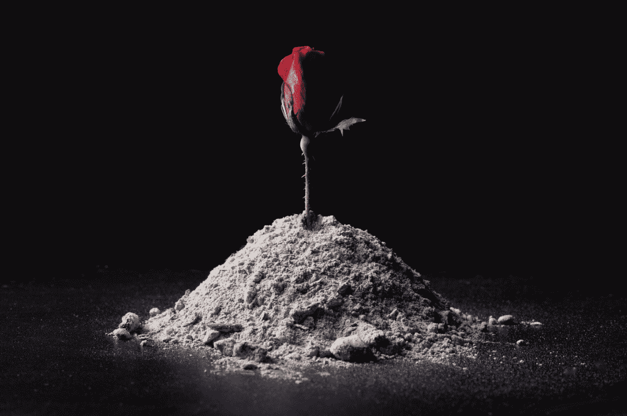 What Are Ashes From a Body? - Mornington Green Legacy Gardens