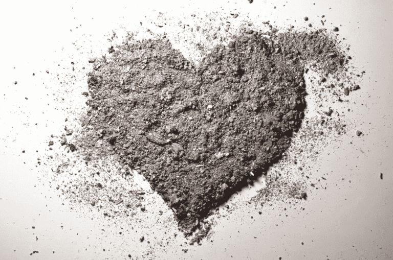 What Are Ashes From a Body? - Mornington Green Legacy Gardens