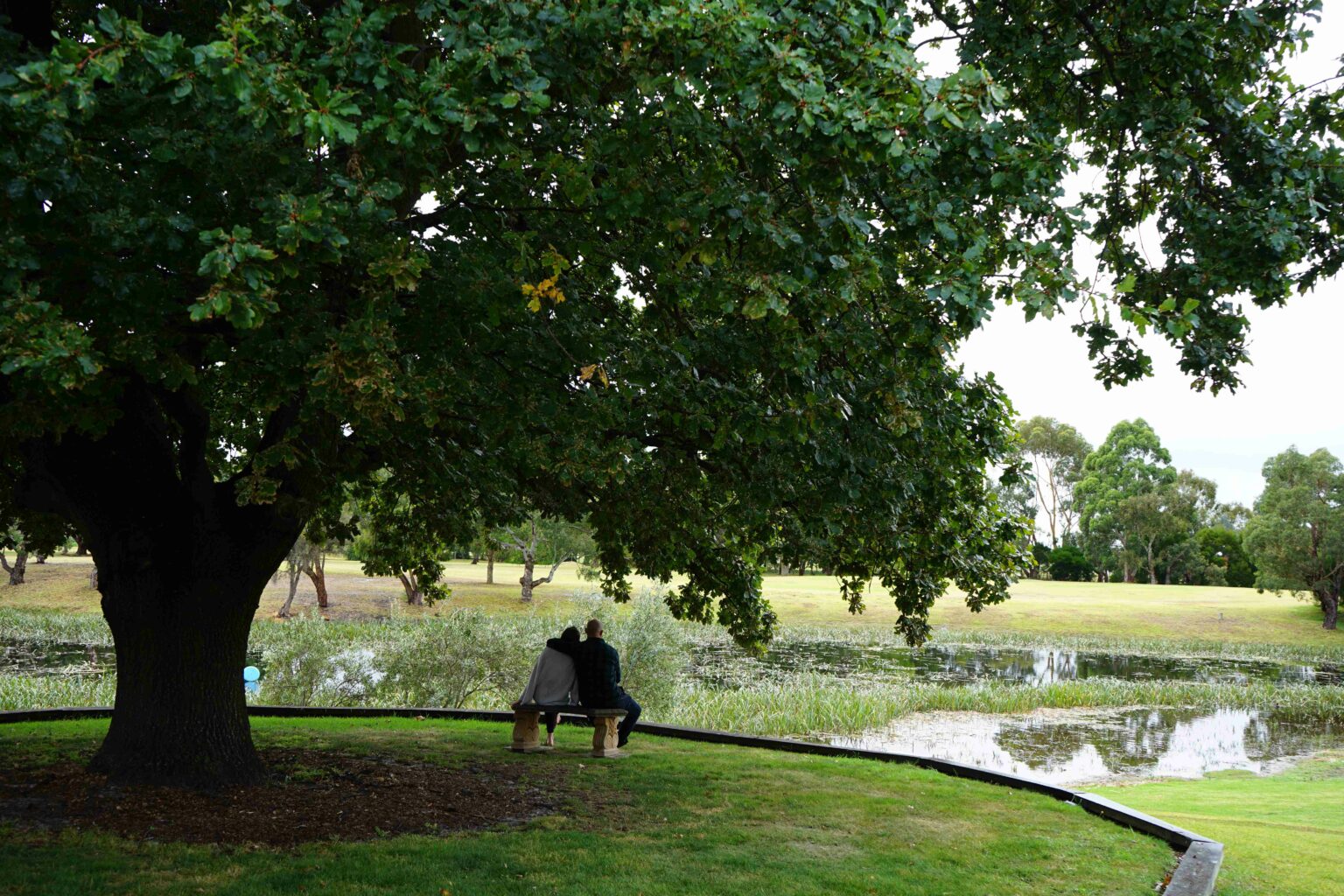 Memorial Tree Ideas: Honoring Loved Ones with Nature - Mornington Green ...