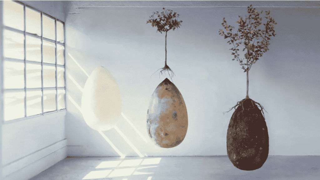 Tree Pod Burial in Australia: A Comprehensive Guide - Mornington Green ...
