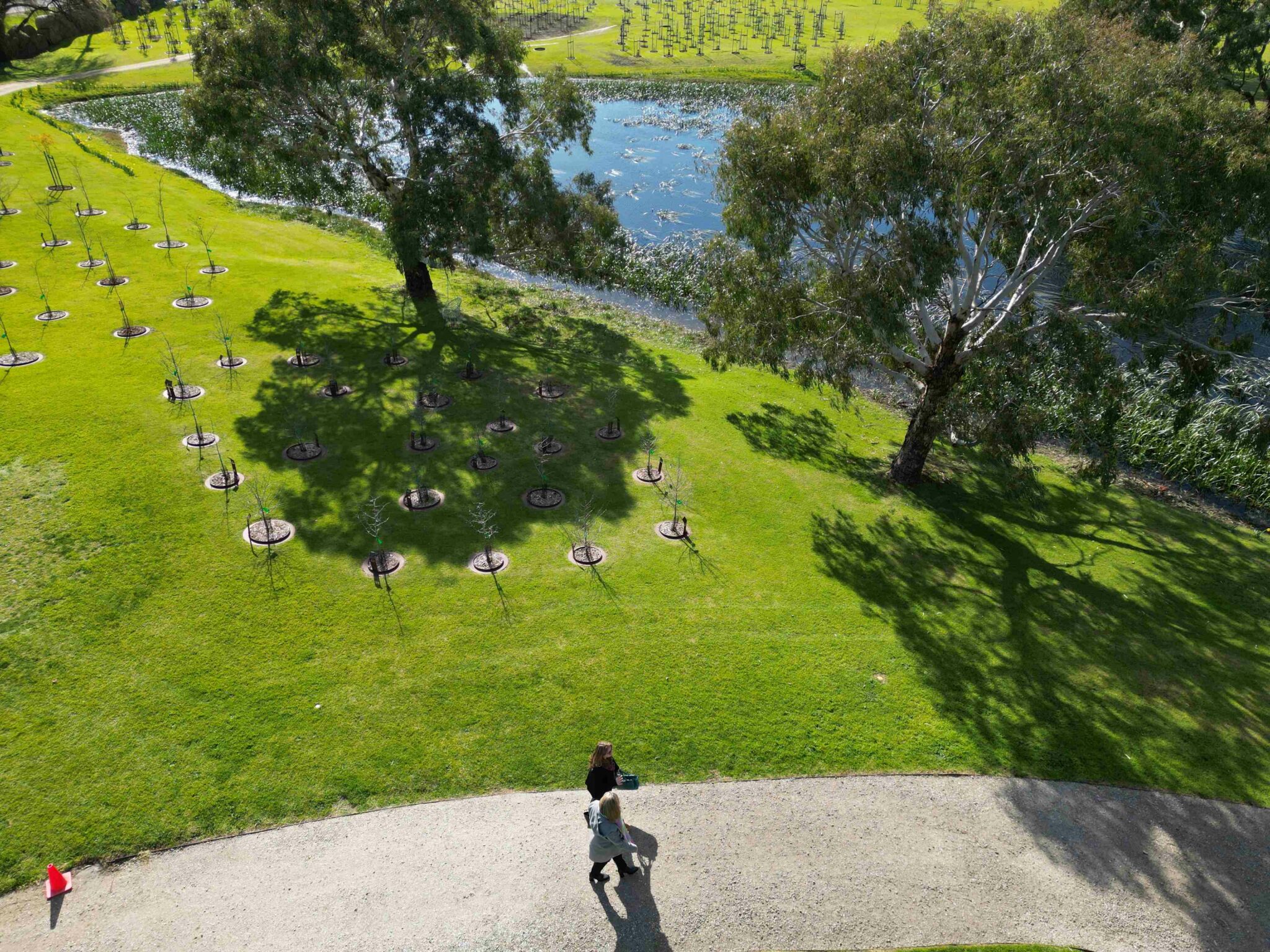 Alternative To Burials In Australia: Eco-Friendly Farewells ...