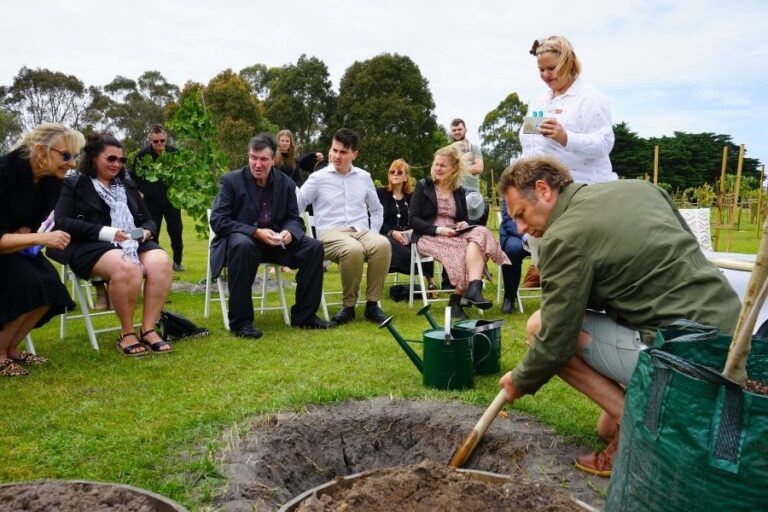 Tree Pod Burial in Australia: A Comprehensive Guide - Mornington Green ...