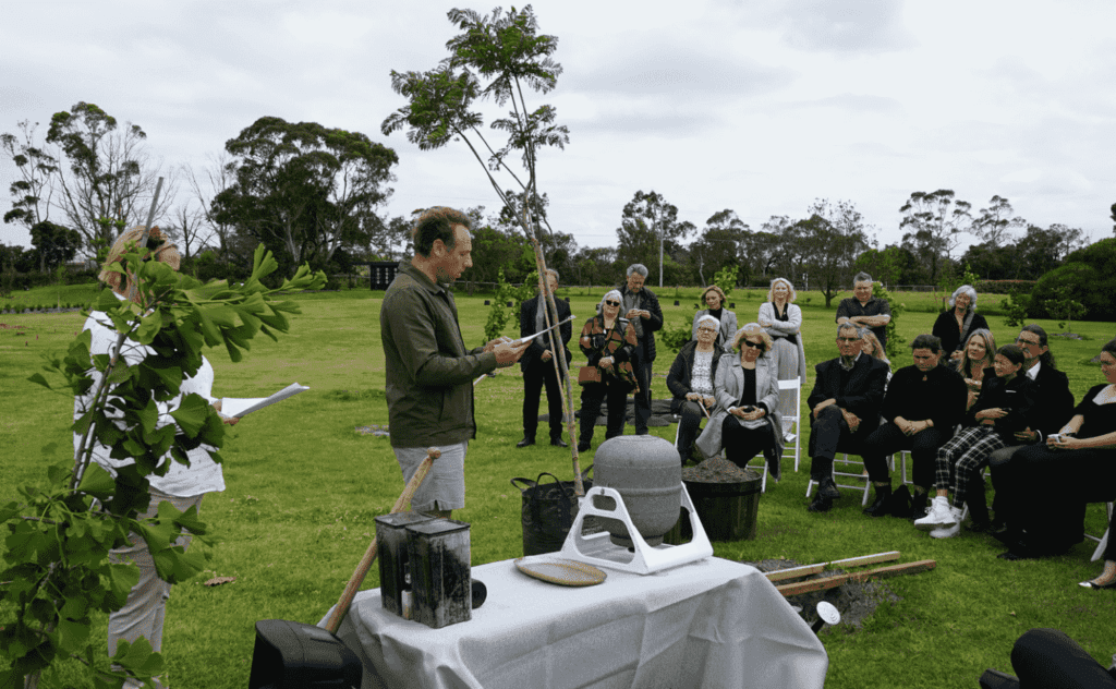 Tree Pod Burial in Australia: A Comprehensive Guide - Mornington Green ...