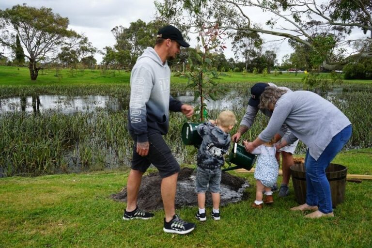 Tree Pod Burial in Australia: A Comprehensive Guide - Mornington Green ...