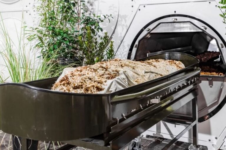 Tree Pod Burial in Australia: A Comprehensive Guide - Mornington Green ...