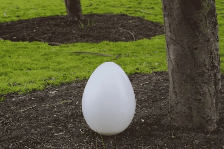 Tree Pod Burial in Australia: A Comprehensive Guide - Mornington Green ...