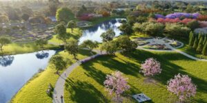 Planting A Memorial Tree in Australia: A Full Guide - Mornington Green ...