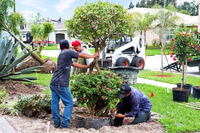 Tree Pod Burial in Australia: A Comprehensive Guide - Mornington Green ...