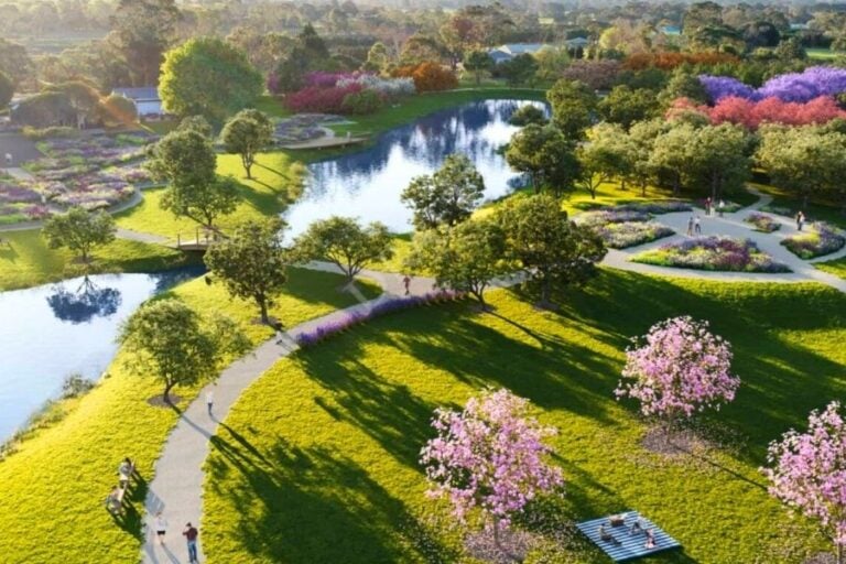 Tree Pod Burial in Australia: A Comprehensive Guide - Mornington Green ...