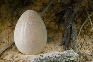 Tree Pod Burial in Australia: A Comprehensive Guide - Mornington Green ...