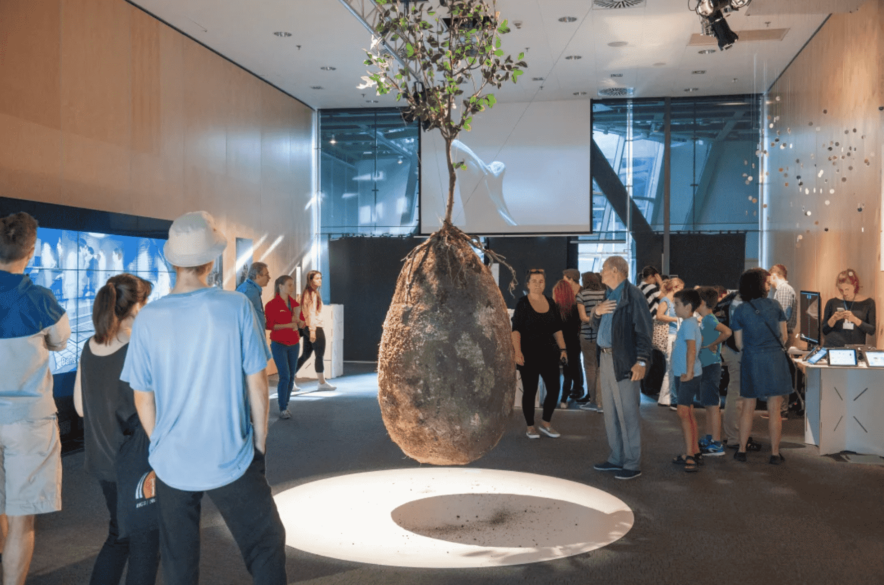 Tree Pod Burial in Australia: A Comprehensive Guide - Mornington Green ...