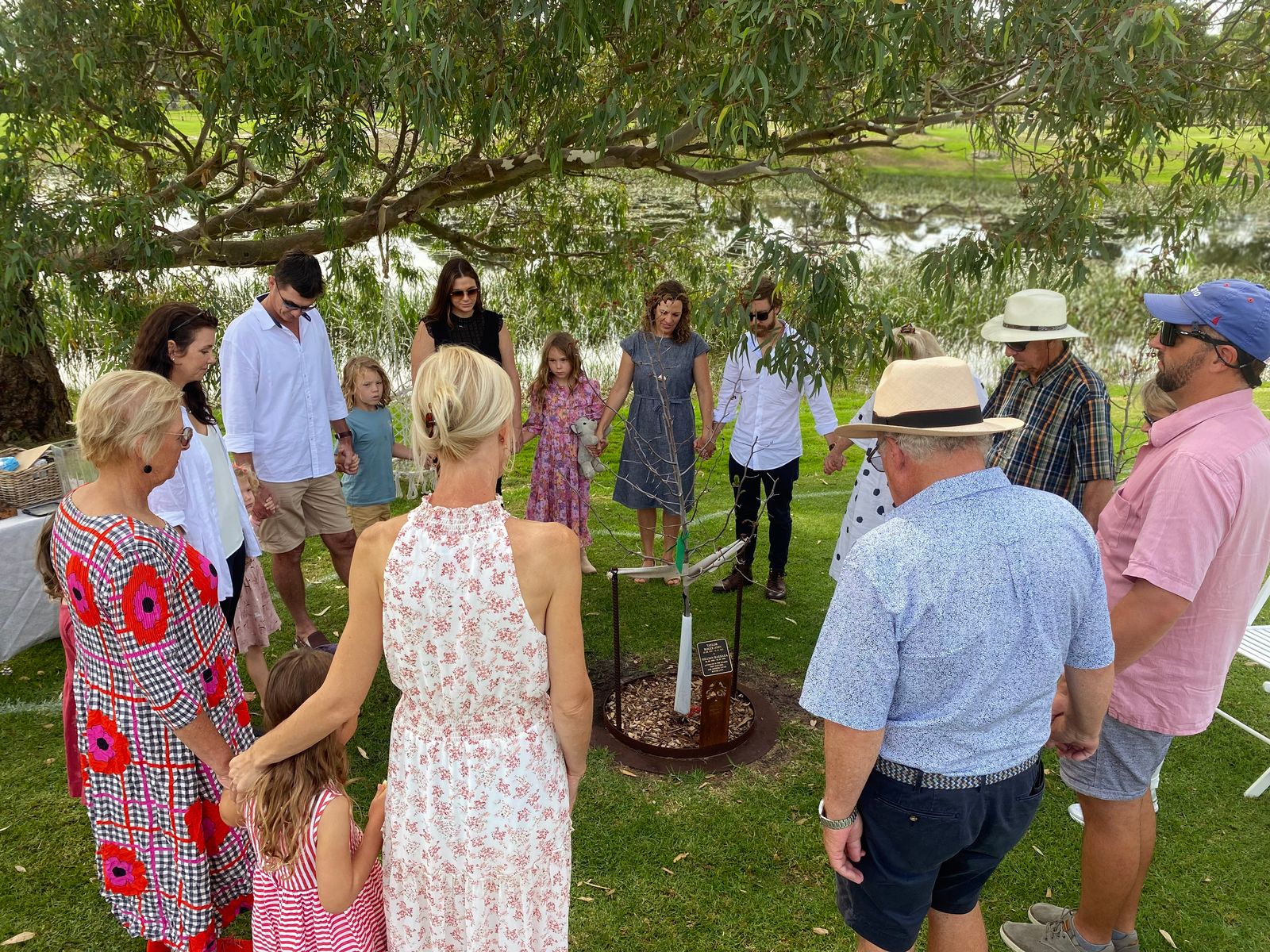 Why Planting Memorial Trees Matters - Mornington Green Legacy Gardens