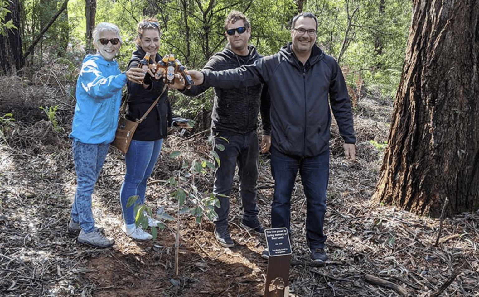Can I Be Buried Under A Tree? - Mornington Green Legacy Gardens