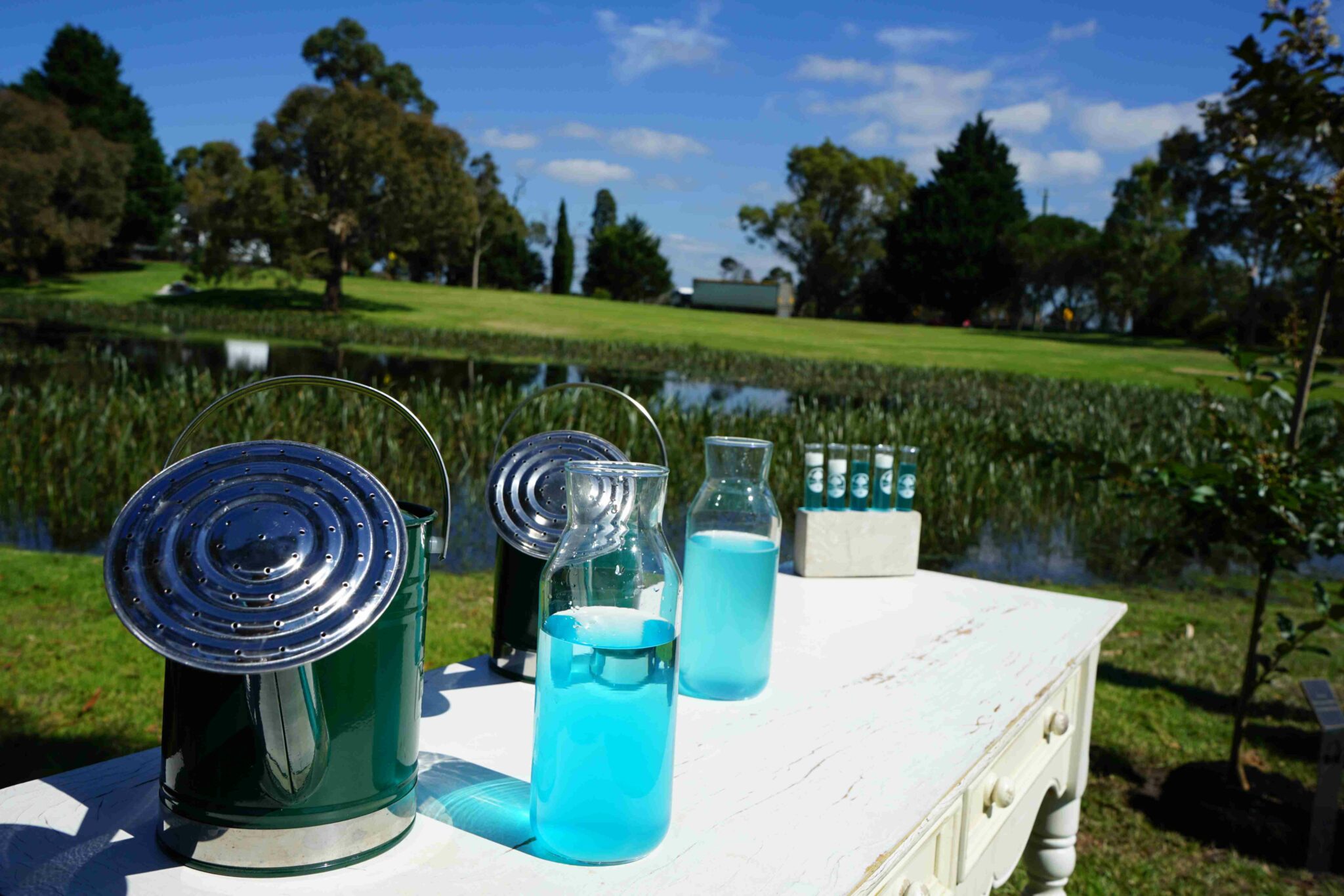 How To Bury A Dog In Australia: A Comprehensive Guide - Mornington ...