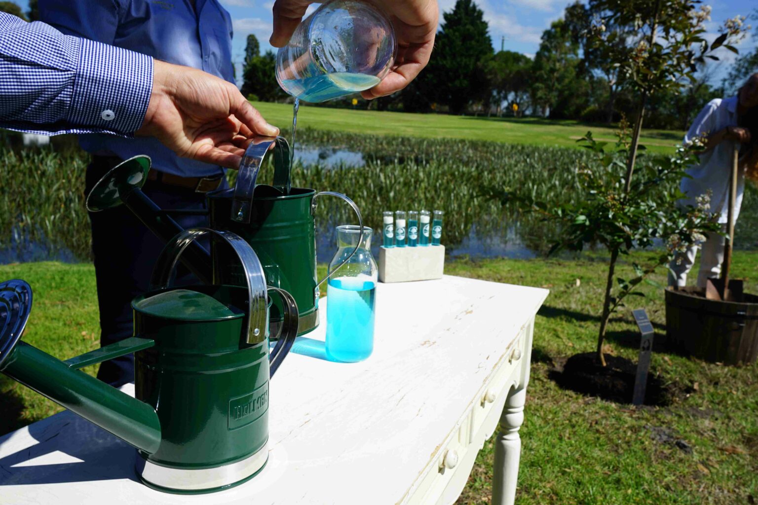 The Science Behind Turning Ashes into Trees: Living Legacy Forest and ...