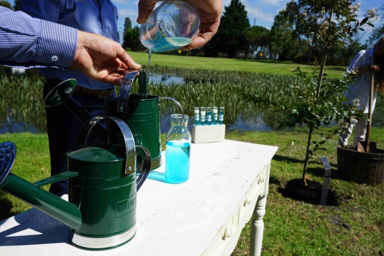 The Science Behind Turning Ashes into Trees: Living Legacy Forest and ...