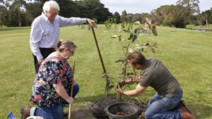 What Is A Memorial Tree In Australia? | Living Legacy Tree