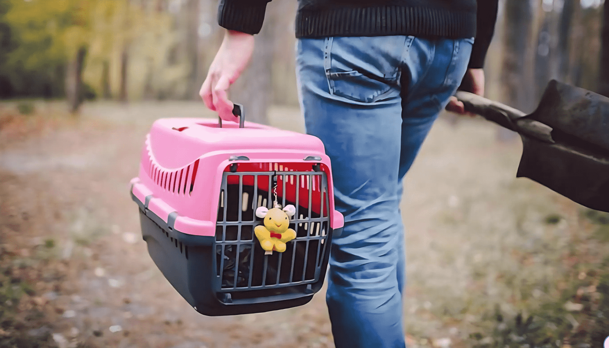 How To Bury A Dog In Australia: A Comprehensive Guide - Mornington ...