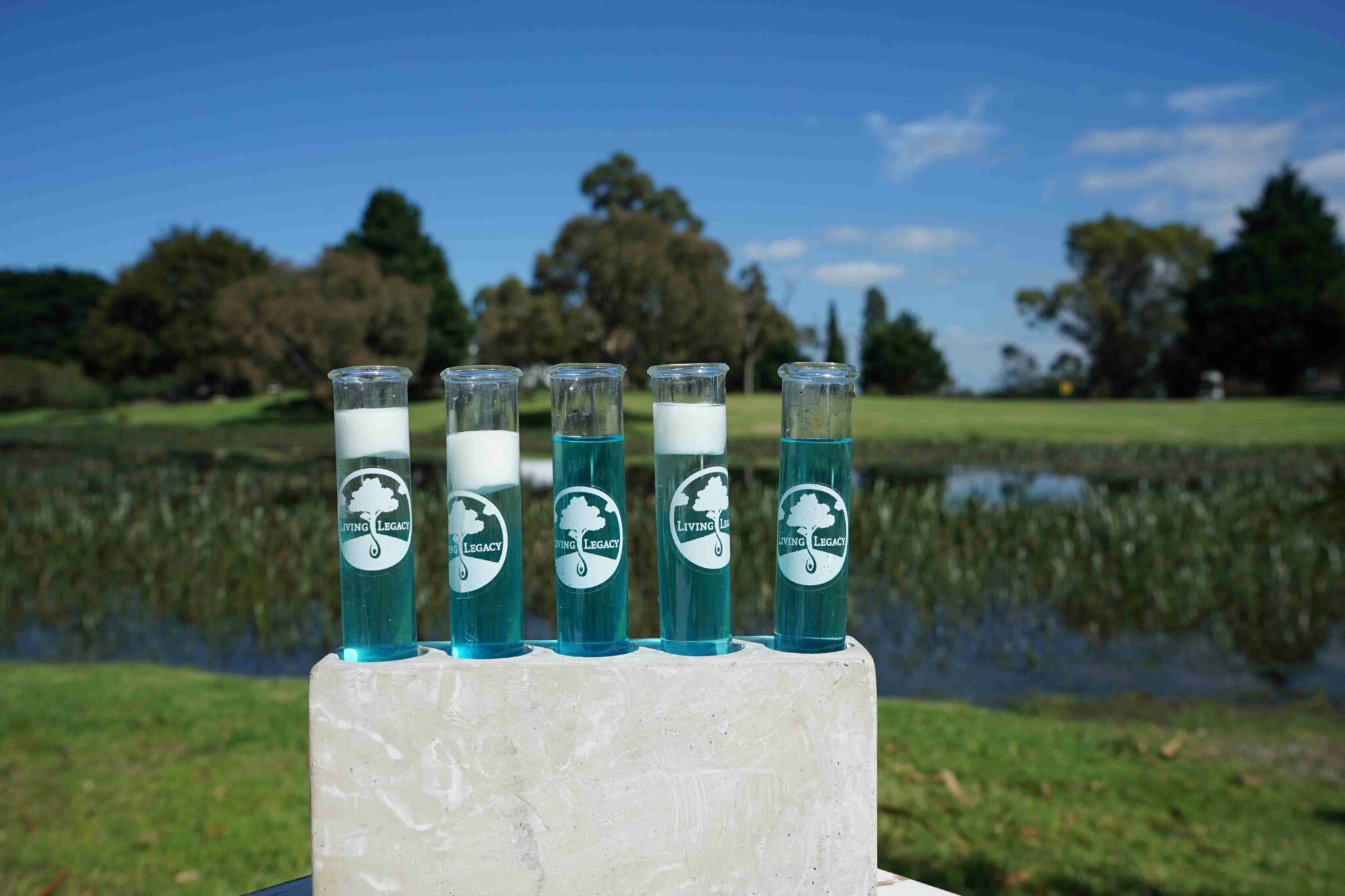 The Science Behind Turning Ashes into Trees: Living Legacy Forest and ...