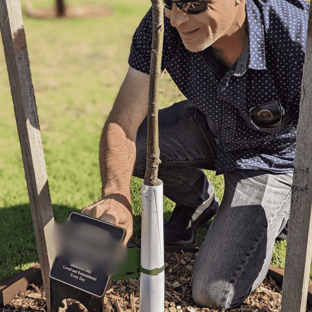 What Is A Memorial Tree In Australia? | Living Legacy Tree