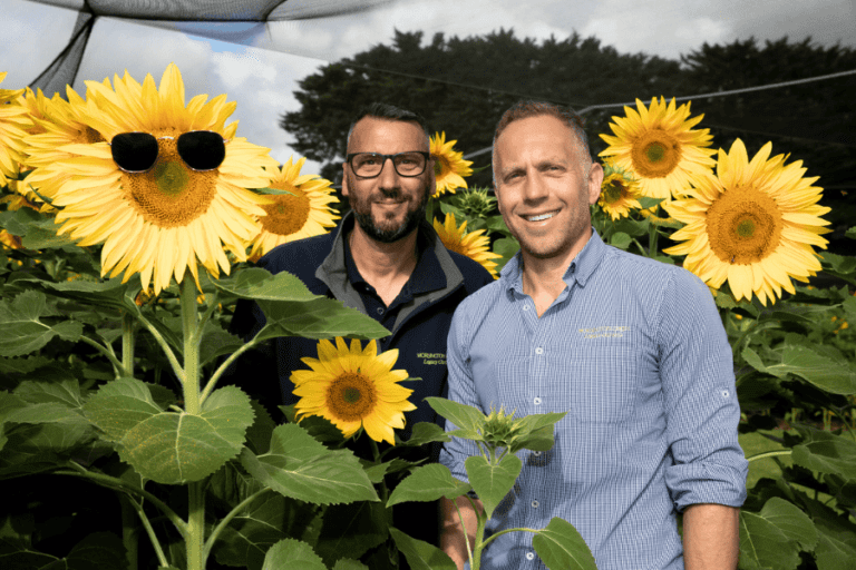 The Process Of Tree Burial In Australia | Living Legacy Tree