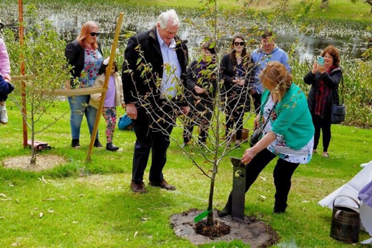 Human Composting Australia: A Comprehensive Guide - Mornington Green ...