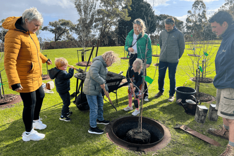 Tree Pod Burial in Australia: A Comprehensive Guide - Mornington Green ...