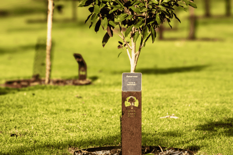 What Is A Memorial Tree In Australia? | Living Legacy Tree