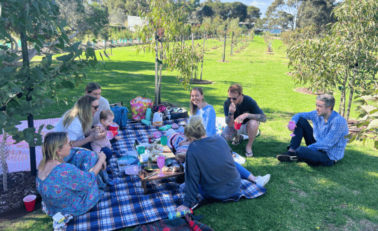 Tree Pod Burial in Australia: A Comprehensive Guide - Mornington Green ...