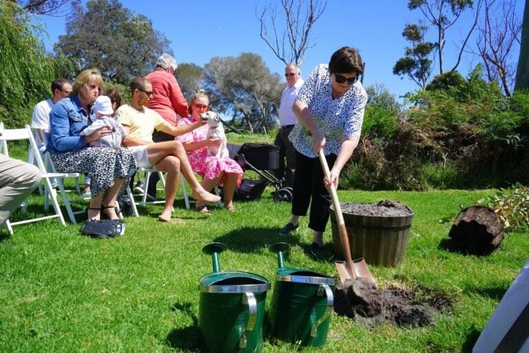Tree Pod Burial in Australia: A Comprehensive Guide - Mornington Green ...