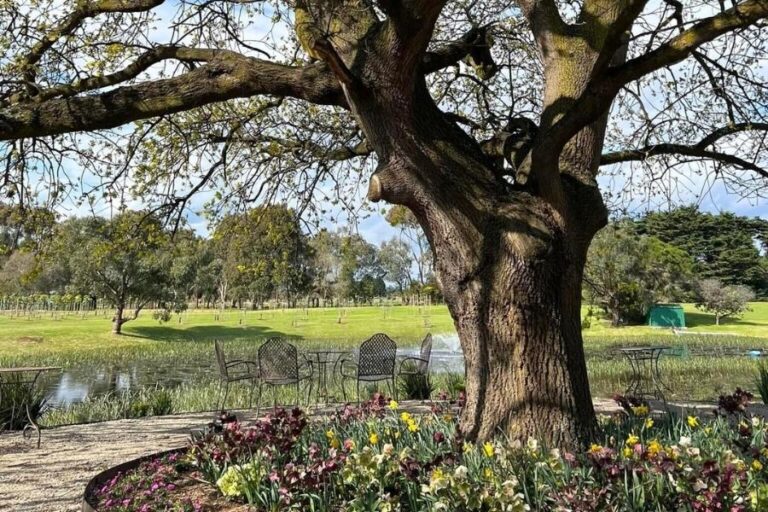 Planting for the Future: Building Resilient, Self-Reliant Trees ...