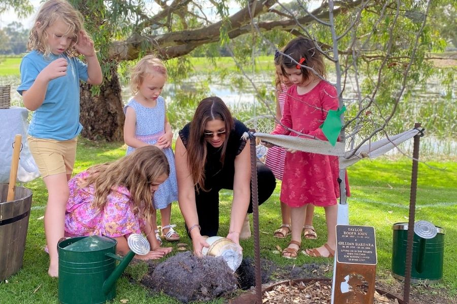 Memorial Tree For Family In Australia - Ashes Into Trees