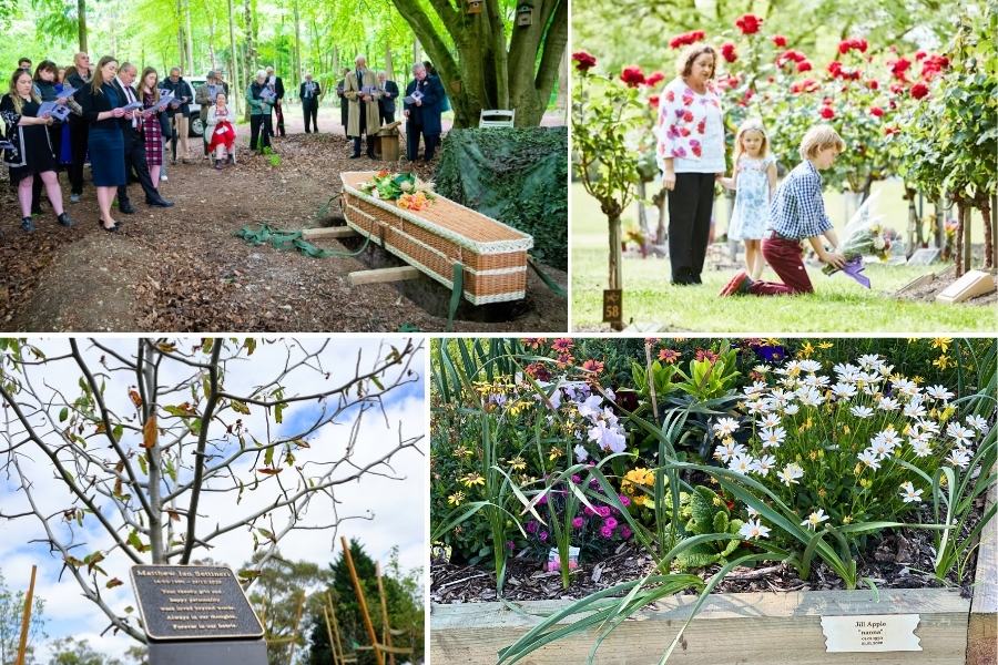 5 Top Alternatives to Traditional Burial in Melbourne - Locations and Costs