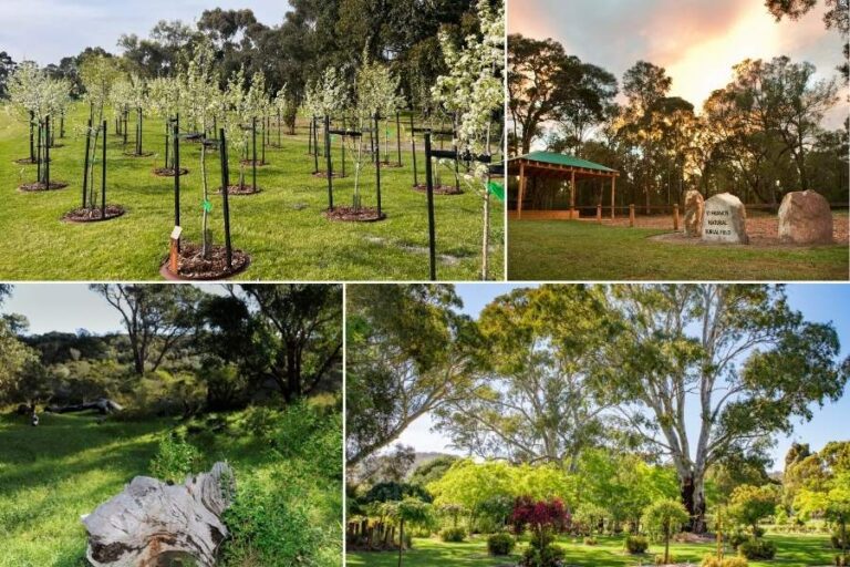 Green Burial In Australia: A Full Guide - Mornington Green Legacy Gardens