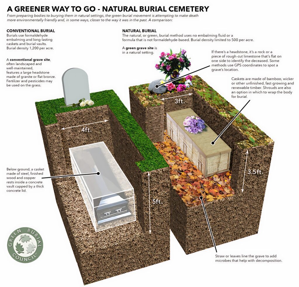 Green Burial In Australia: A Full Guide - Mornington Green Legacy Gardens