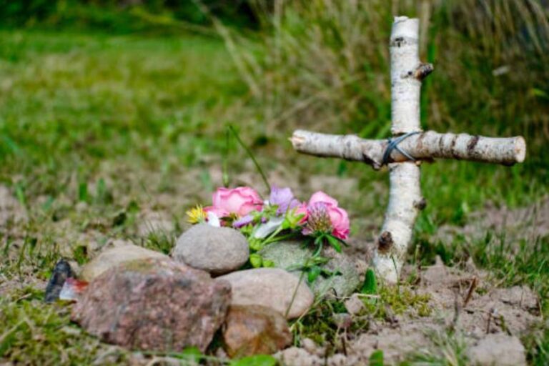 How To Bury A Cat In Australia: A Comprehensive Guide - Mornington ...