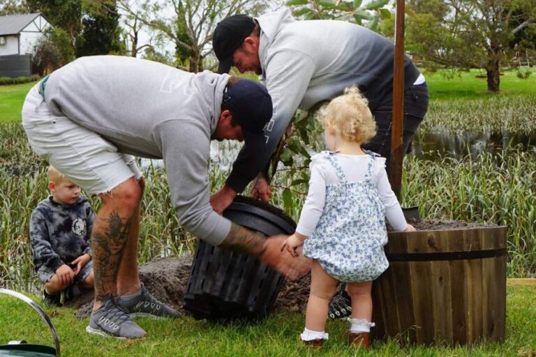Tree Pod Burial in Australia: A Comprehensive Guide - Mornington Green ...