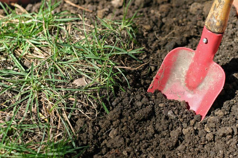 How To Bury A Cat In Australia: A Comprehensive Guide - Mornington ...